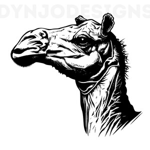 Camel Head , Camel Svg , Cut Files for Cricut , Laser Engraving Files ...