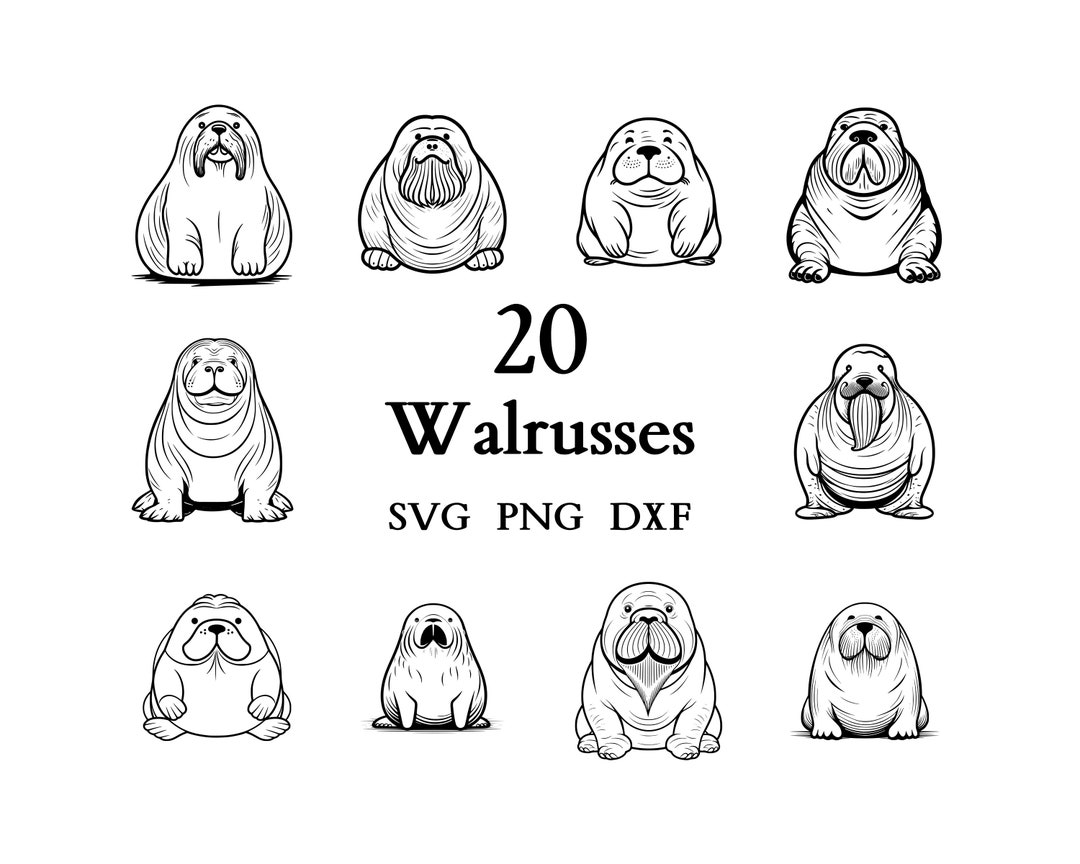 Walrus Svg Bundle Walrus Svg Cut Files for Cricut And - Etsy Portugal
