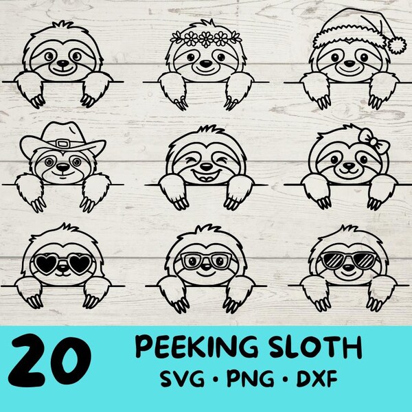 Sloth Svg - Etsy