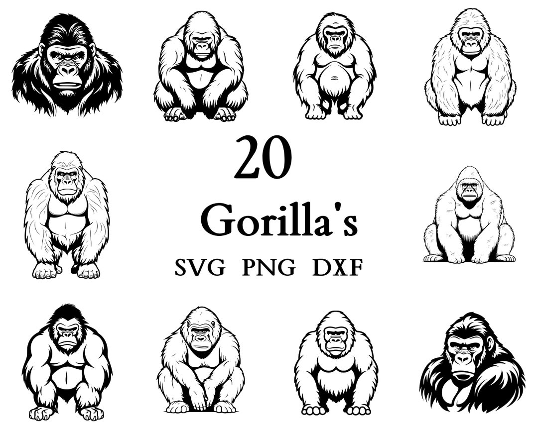 Gorilla Svg Bundle Gorilla Svg Cut Files for Cricut and - Etsy
