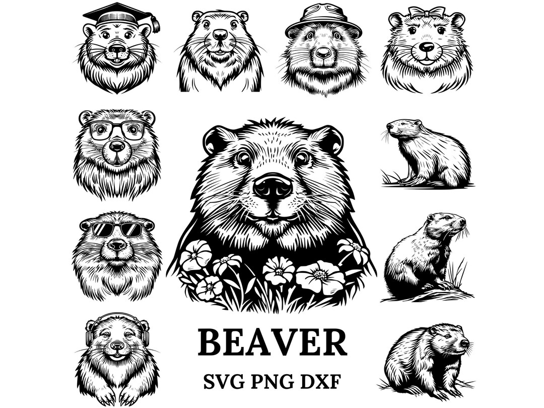 Beaver Svg Bundle , Beaver Svg , Beaver Png, Beaver Clipart, Beaver ...
