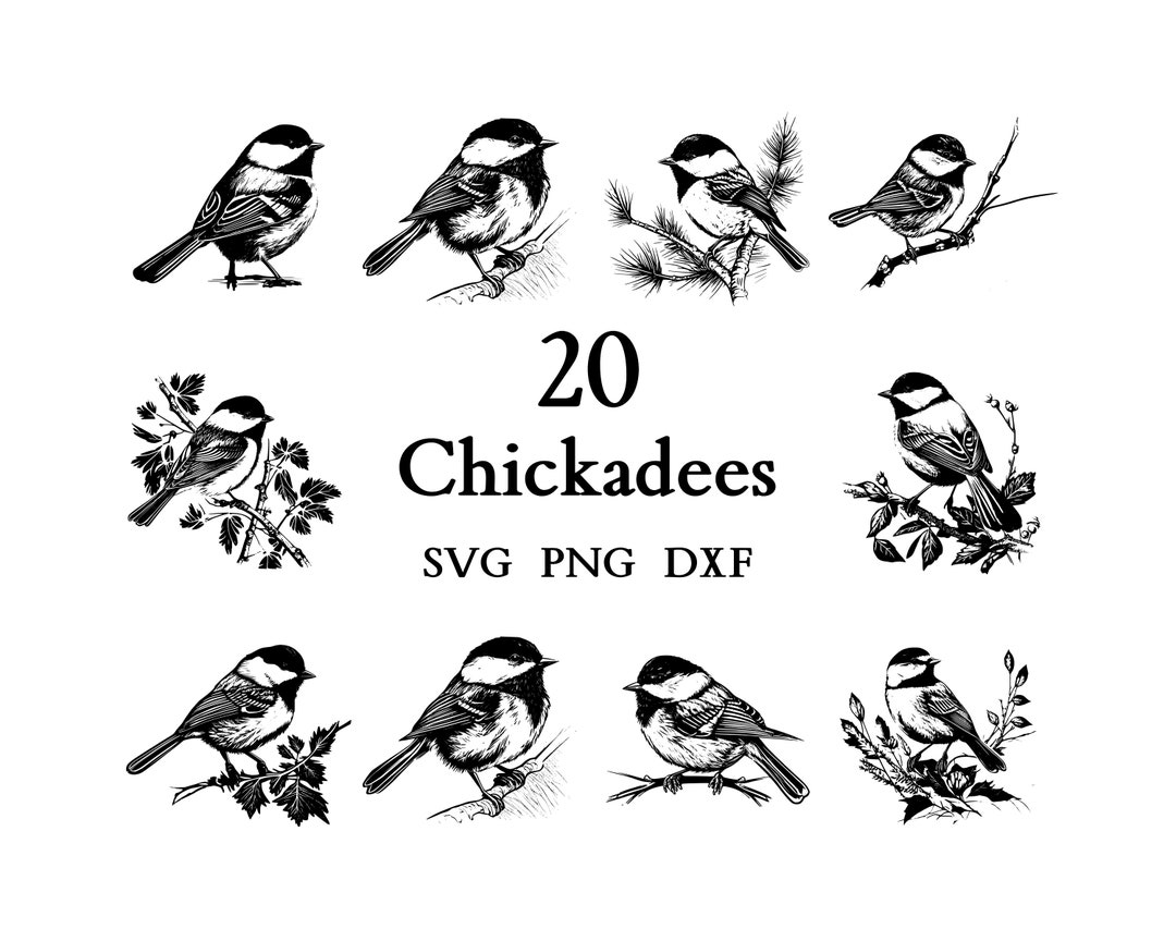 Chickadee Svg Bundle , Chickadee Svg , Cut Files for Cricut and Laser ...