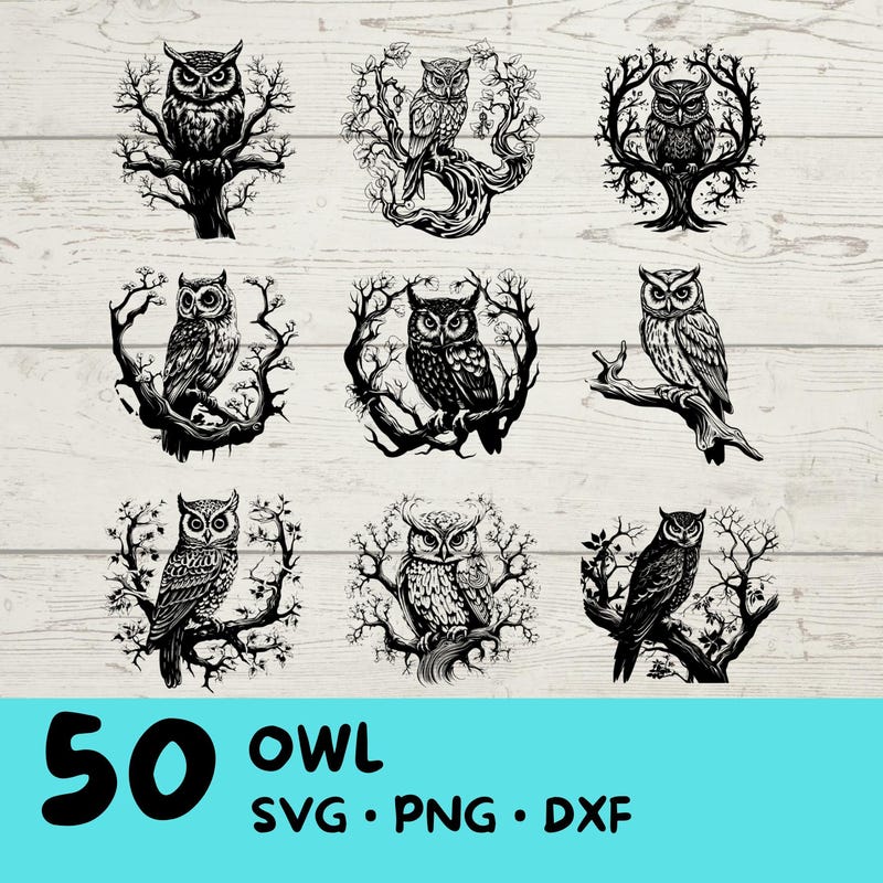 Owl Svg - Etsy