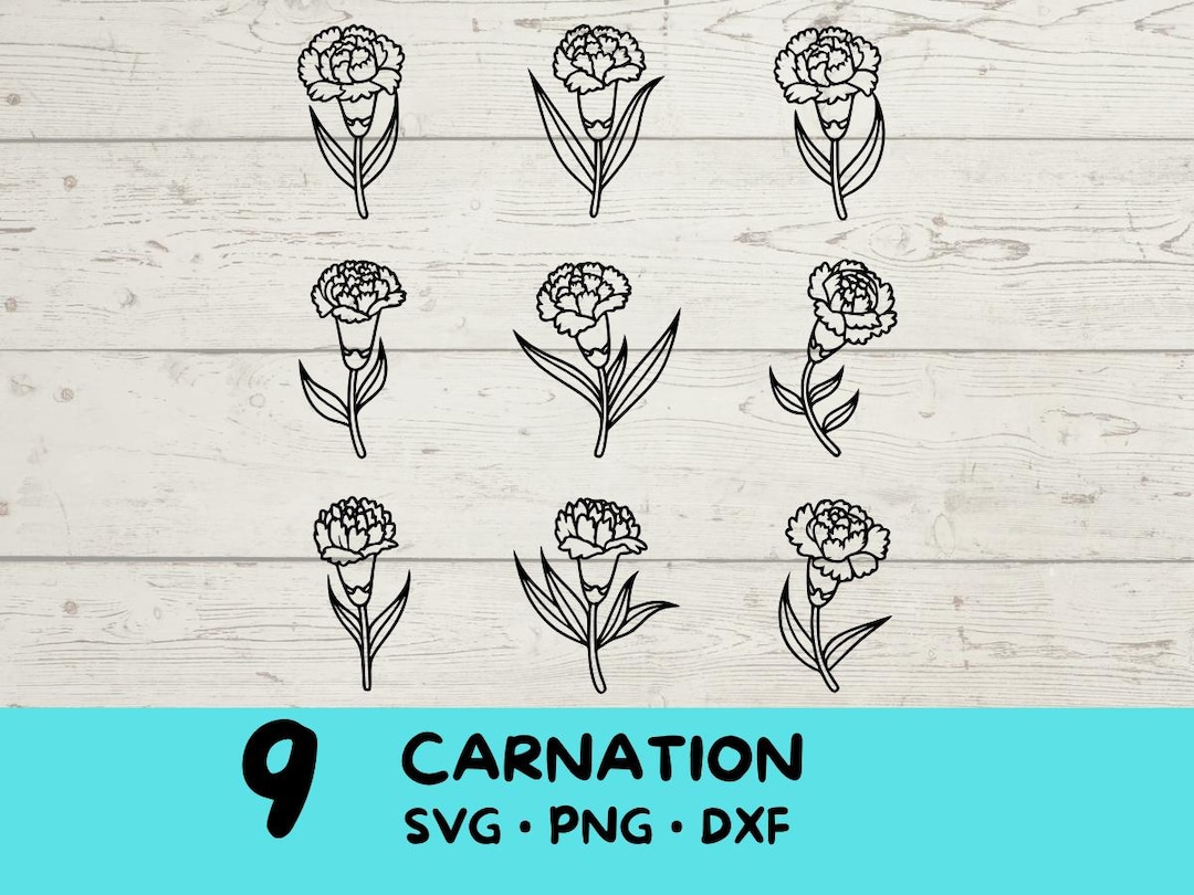 9 Carnation SVG Cut Files Bundle, Floral Carnation Clipart, Silhouette ...