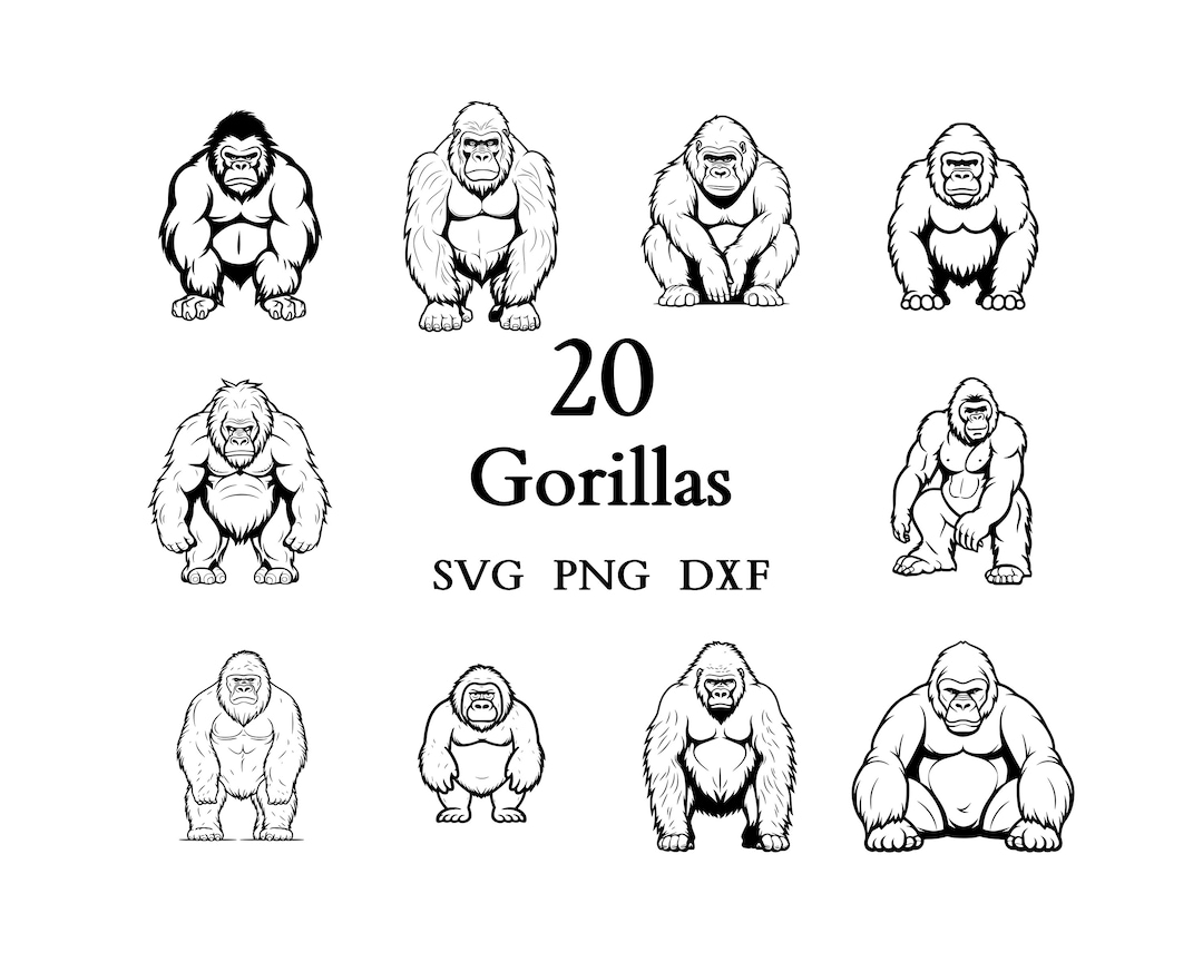 Gorilla Svg Bundle , Gorilla Svg , Cut Files for Cricut and Laser ...