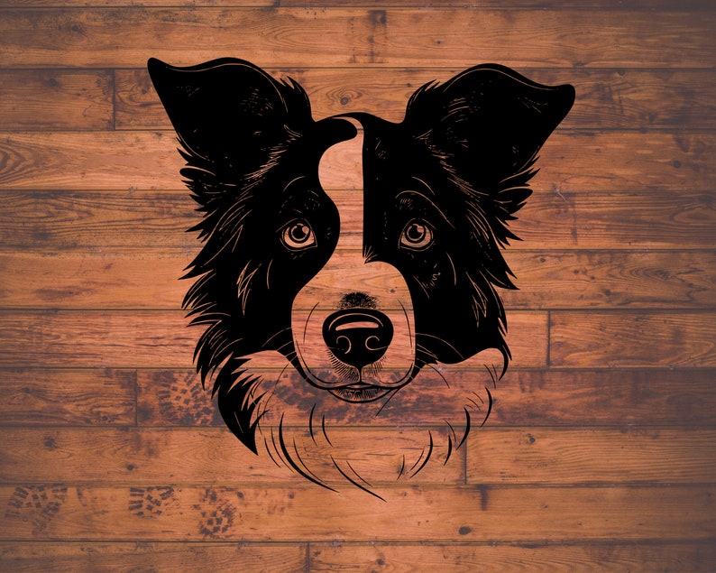 Border Collie Svg Border Collie Clipart Border Collie Png - Etsy
