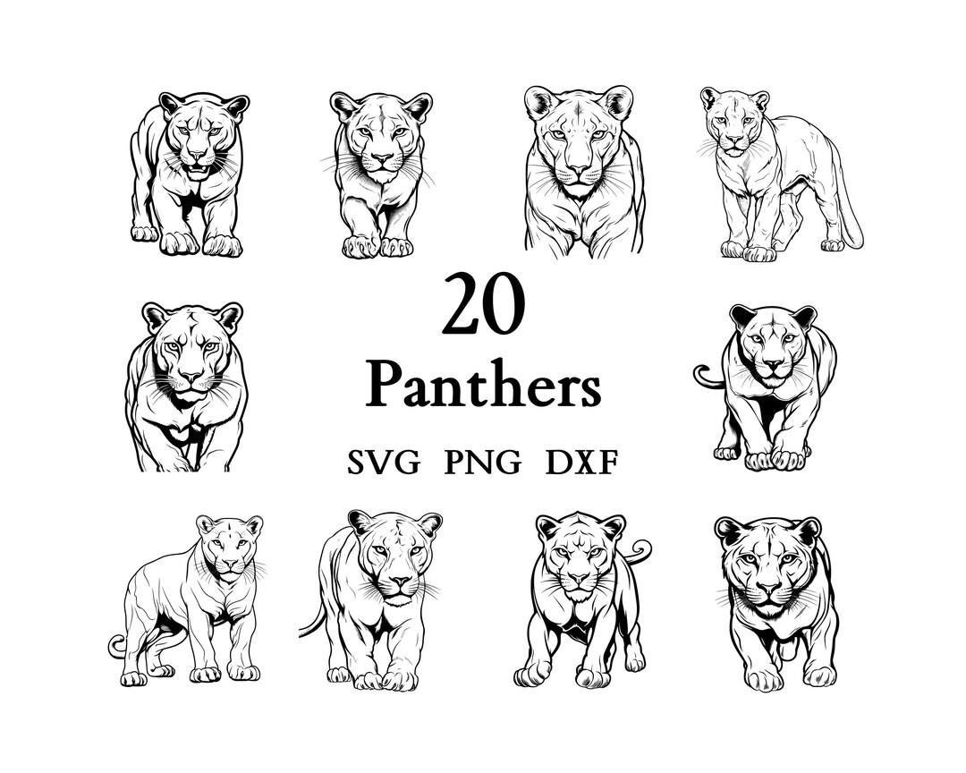 Panther Svg Bundle , Panther Svg , Cut Files for Cricut and Laser ...