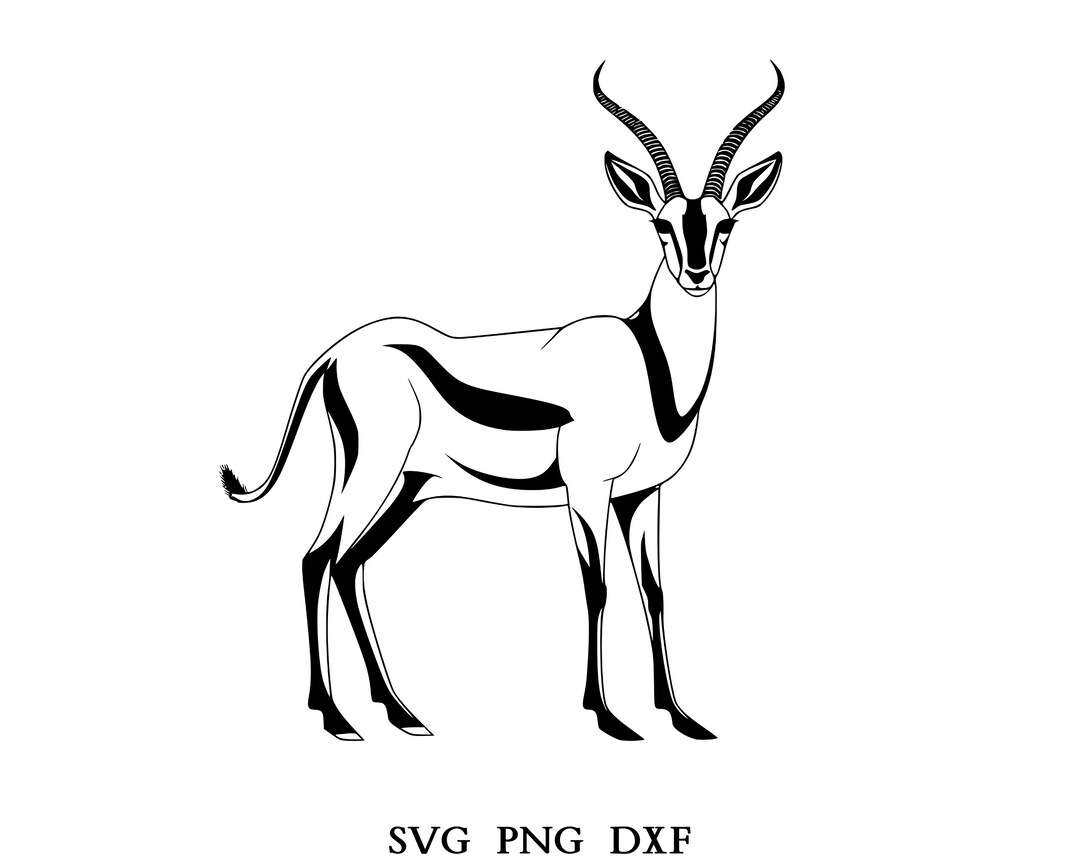Gazelle Svg, Gazelle Clipart, Gazelle Png, Gazelle Head, Gazelle Cut ...