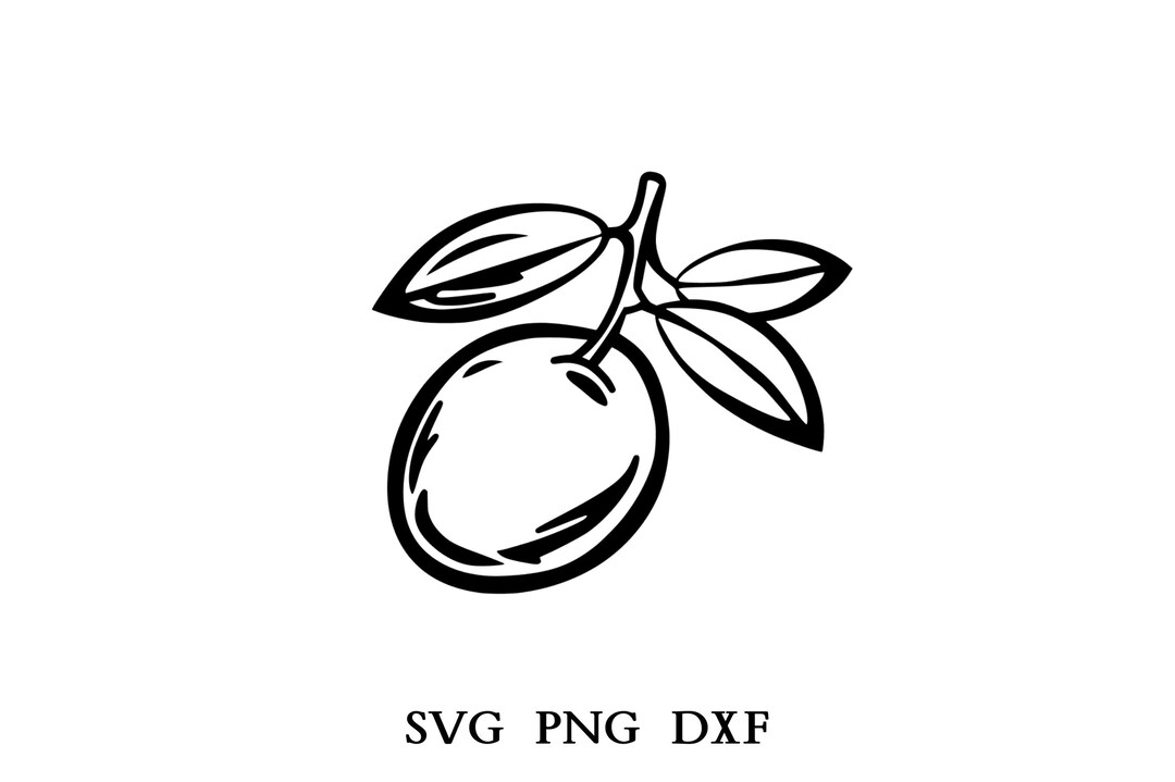 Olive Svg, Olive Clipart, Olive Png, Fruit and Vegatables - Etsy