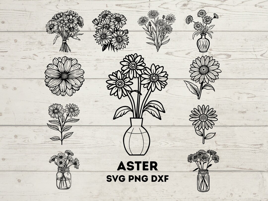 Aster Svg, Aster Png, Aster Clipart, Flower Svg, Flower Png - Etsy