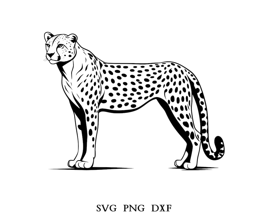 Cheetah Svg, Cheetah Clipart, Cheetah Png, Cheetah Head, Cheetah Cut ...
