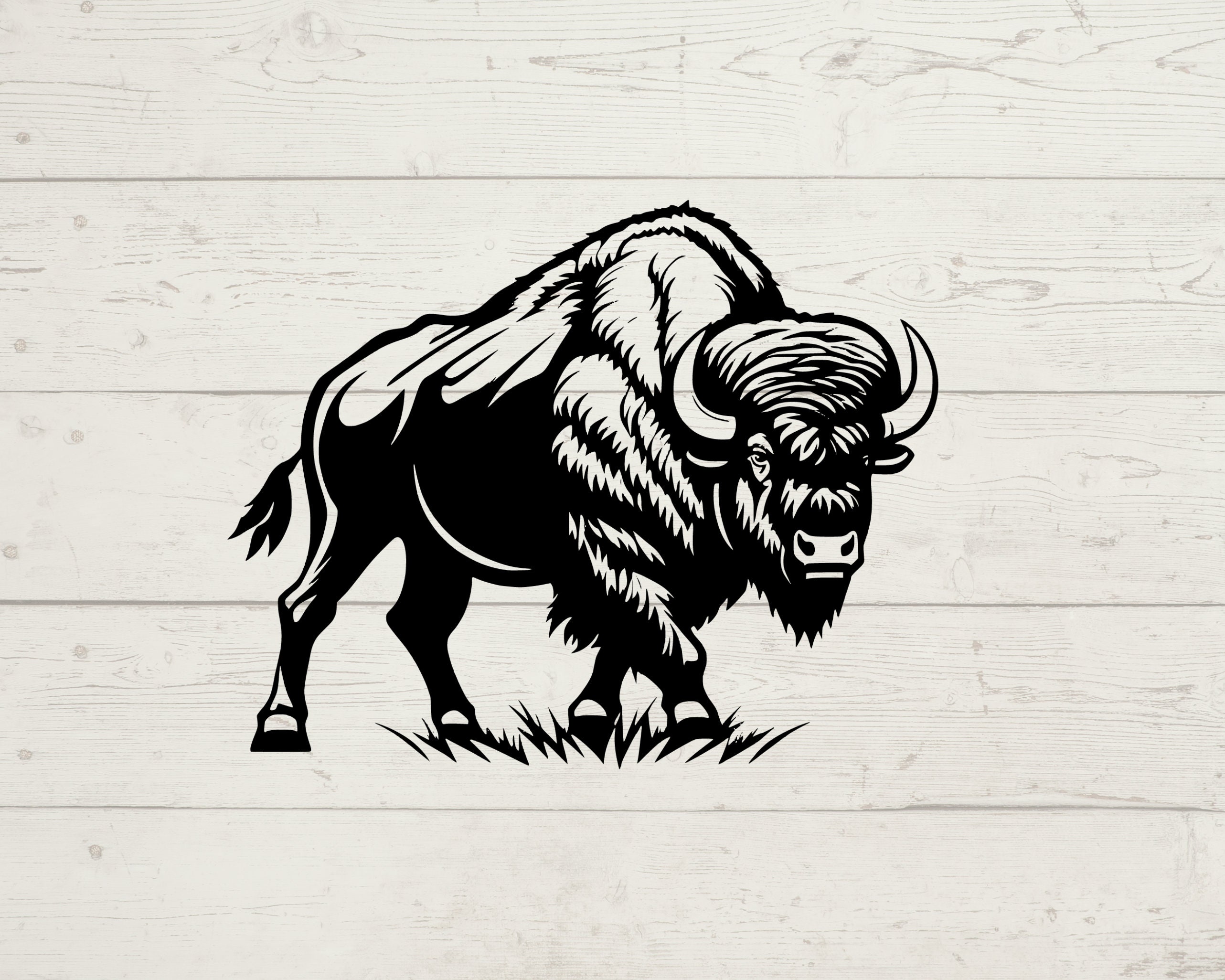 Buffalo Svg Buffalo Clipart Buffalo Png Buffalo Head - Etsy