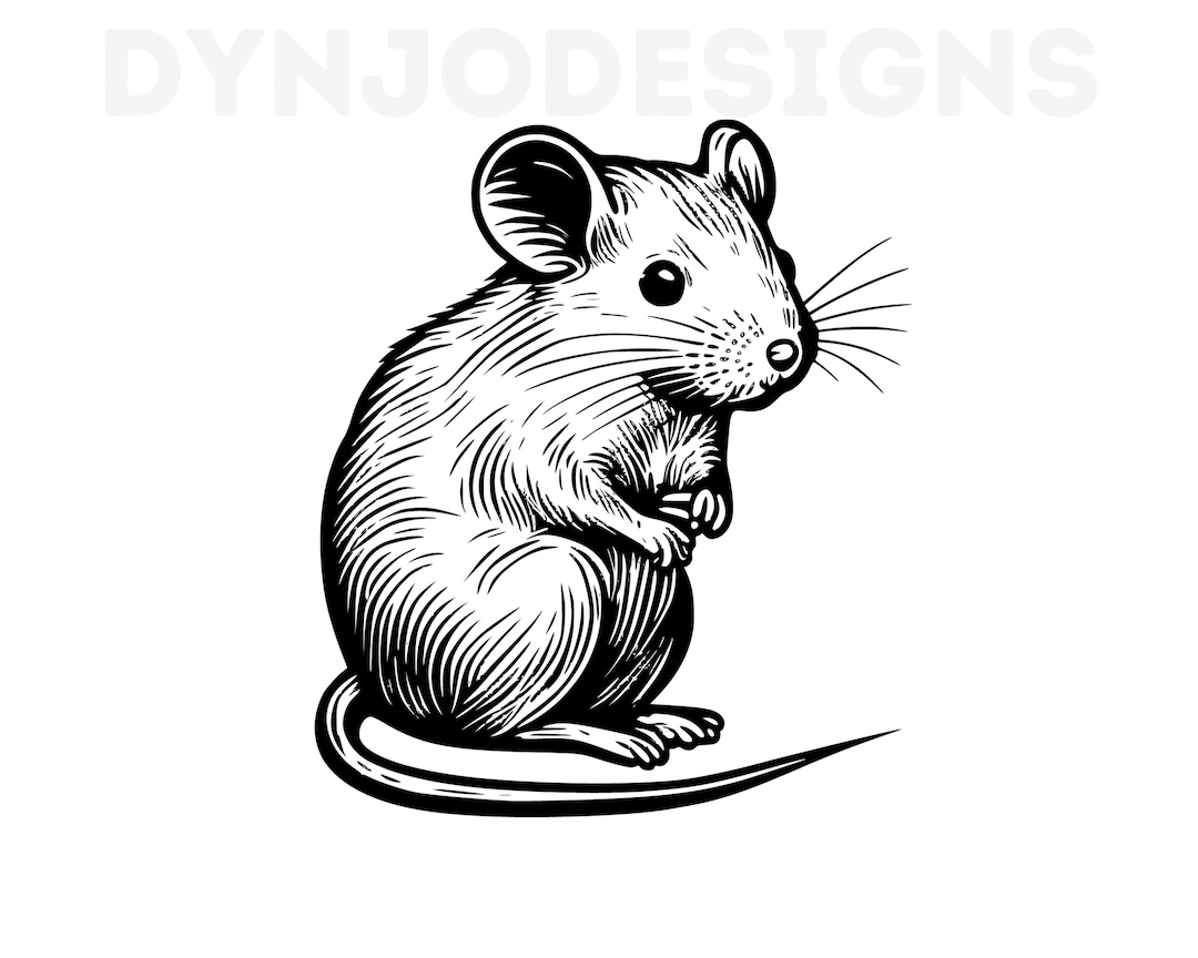 Rat Svg, Rat Clipart, Rat Png, Rat Head, Rat Cut Files for Cricut , Rat ...