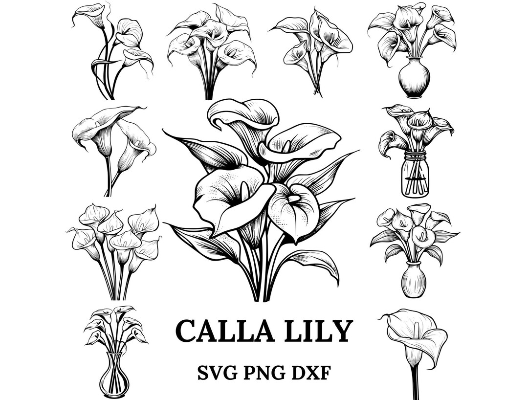 Calla Lily Svg, Calla Lily Png, Calla Lily Clipart, Flower Svg, Flower ...