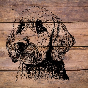 Labradoodle Dog Head Svg , Dog Svg , Cut Files for Cricut , Laser ...