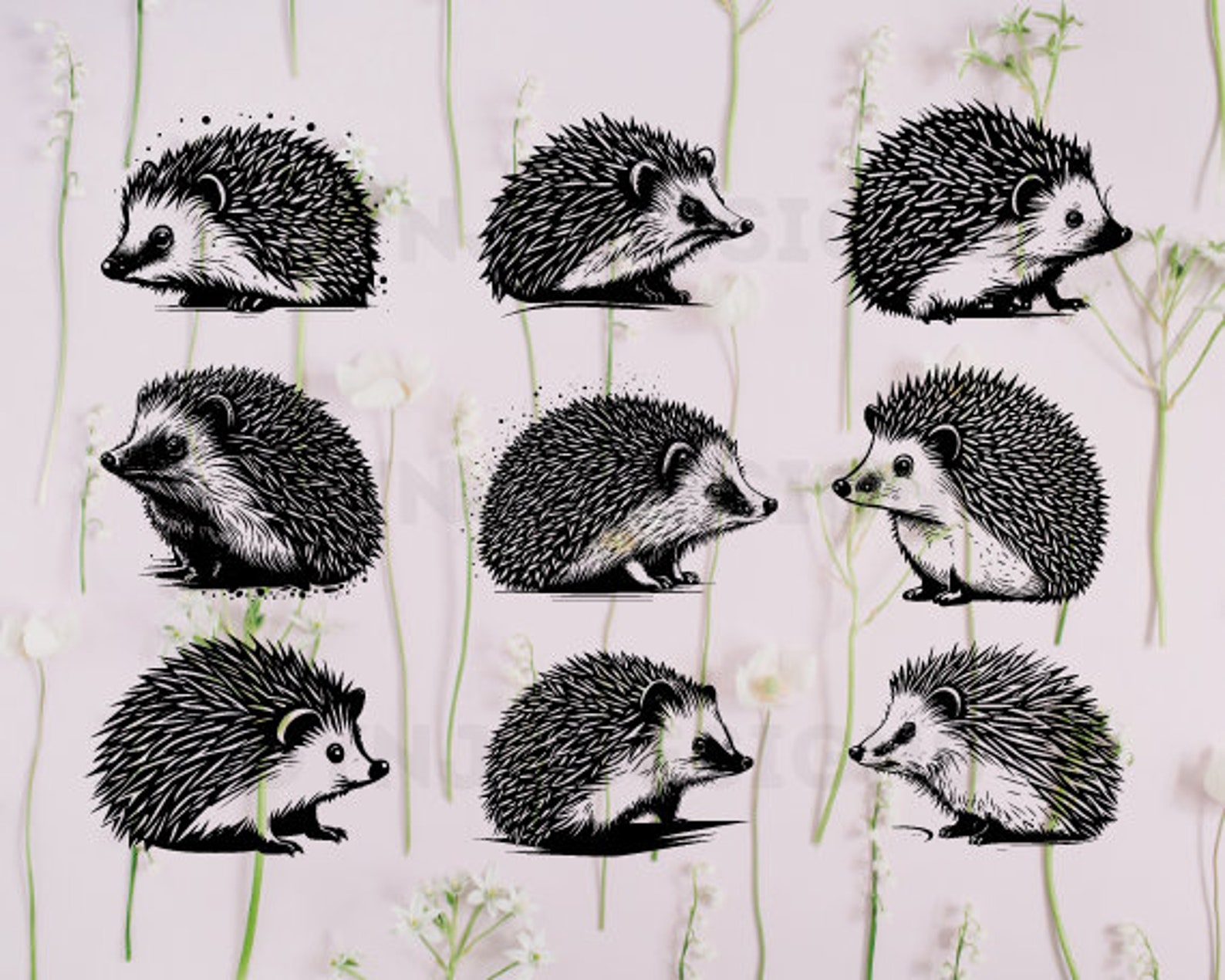 Hedgehog Svg Hedgehog Bundle Hedgehog Clipart Hedgehog Png - Etsy