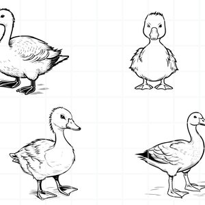 Goose Svg Bundle Goose Svg Cut Files for Cricut and Laser - Etsy Australia