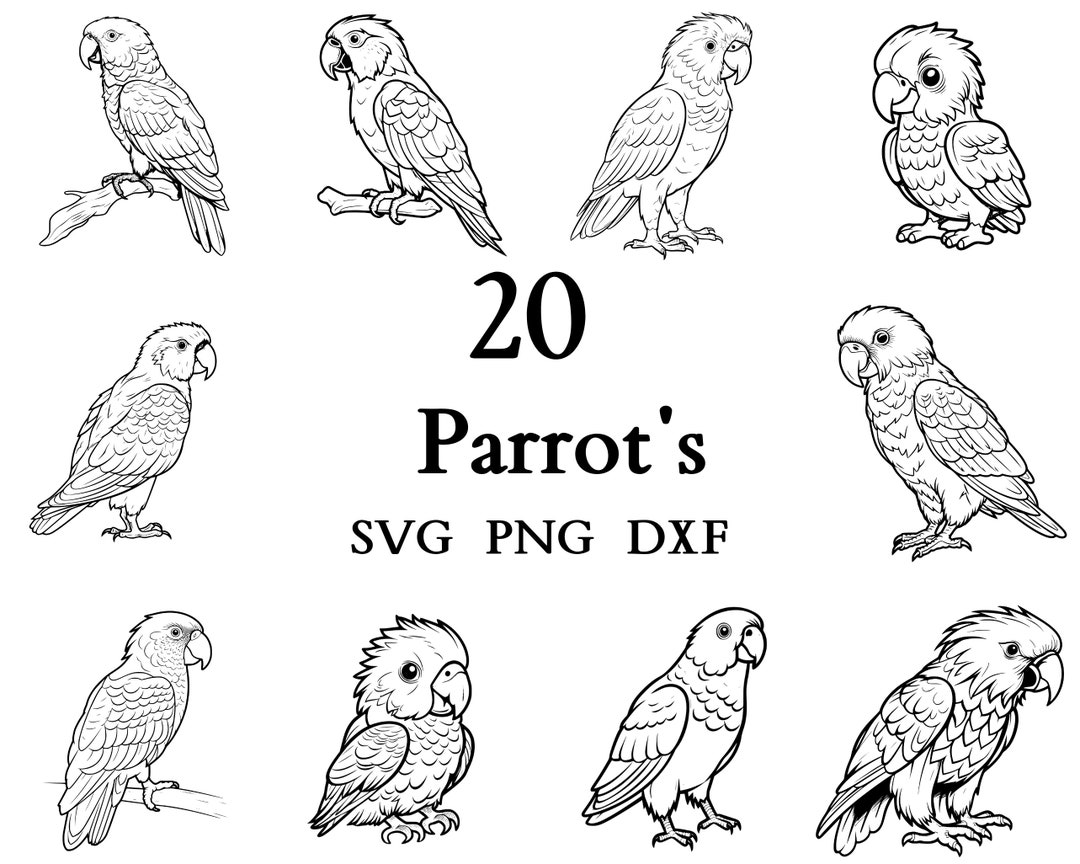 Parrot Svg Bundle Parrot Svg Cut Files for Cricut and - Etsy