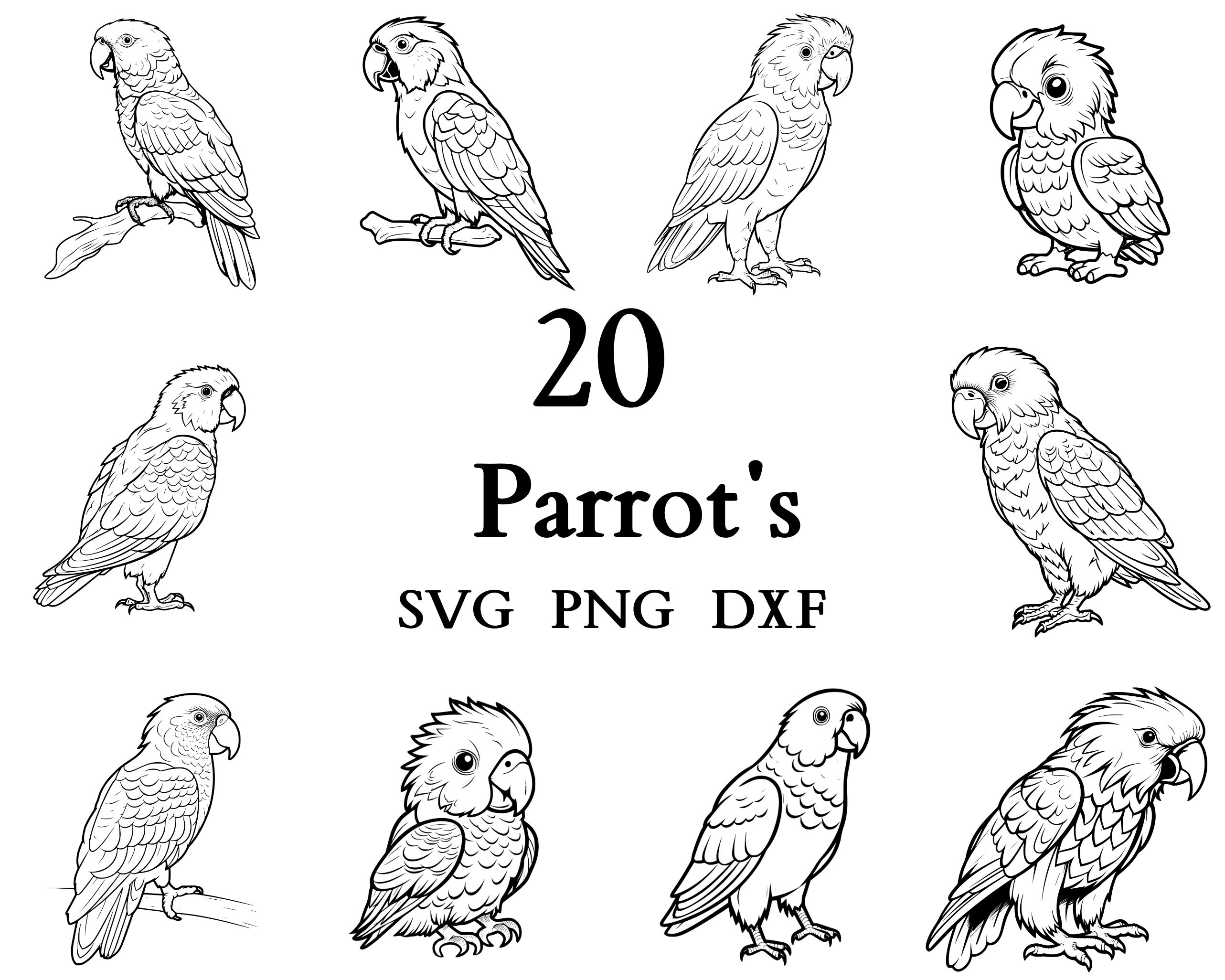 Parrot Svg Bundle Parrot Svg Cut Files for Cricut and - Etsy