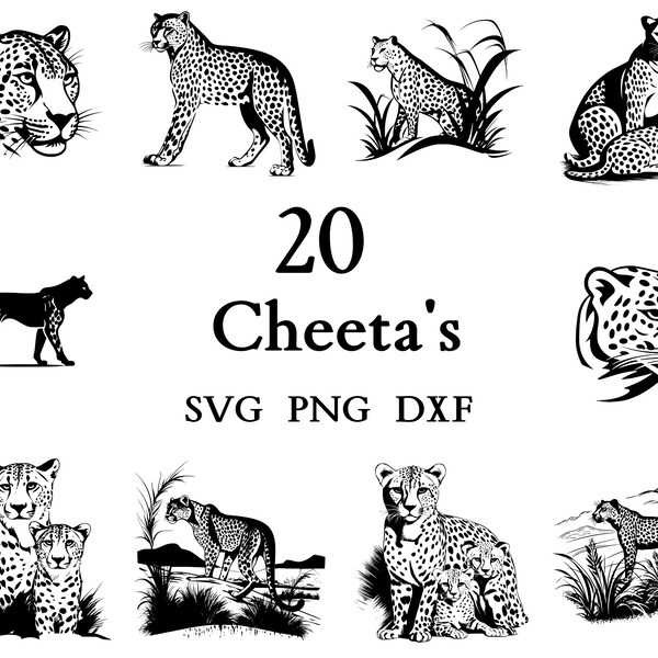 Cheetah - Etsy