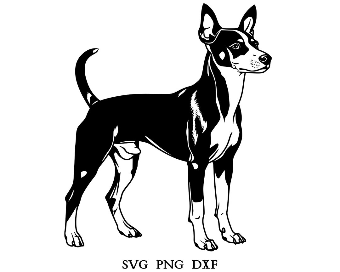 Basenji Svg, Basenji Clipart, Basenji Png, Basenji Head, Basenji Cut ...