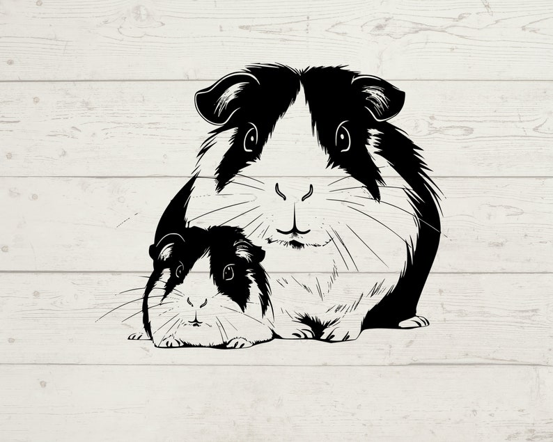 Guinea Pig Svg Guinea Pig Clipart Guinea Pig Png Guinea Pig - Etsy