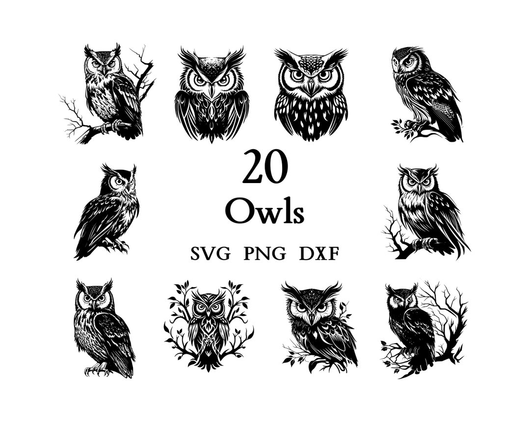 Owl Svg Bundle Owl Clipart Owl Png Owl Head Owl Cut Files - Etsy Australia