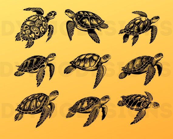Turtle Svg Turtle Bundle Turtle Clipart Turtle Png Turtle - Etsy
