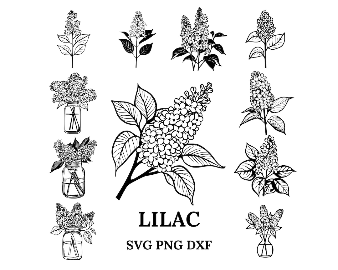 Lilac Svg, Lilac Png, Lilac Clipart, Flower Svg, Flower Png - Etsy Canada