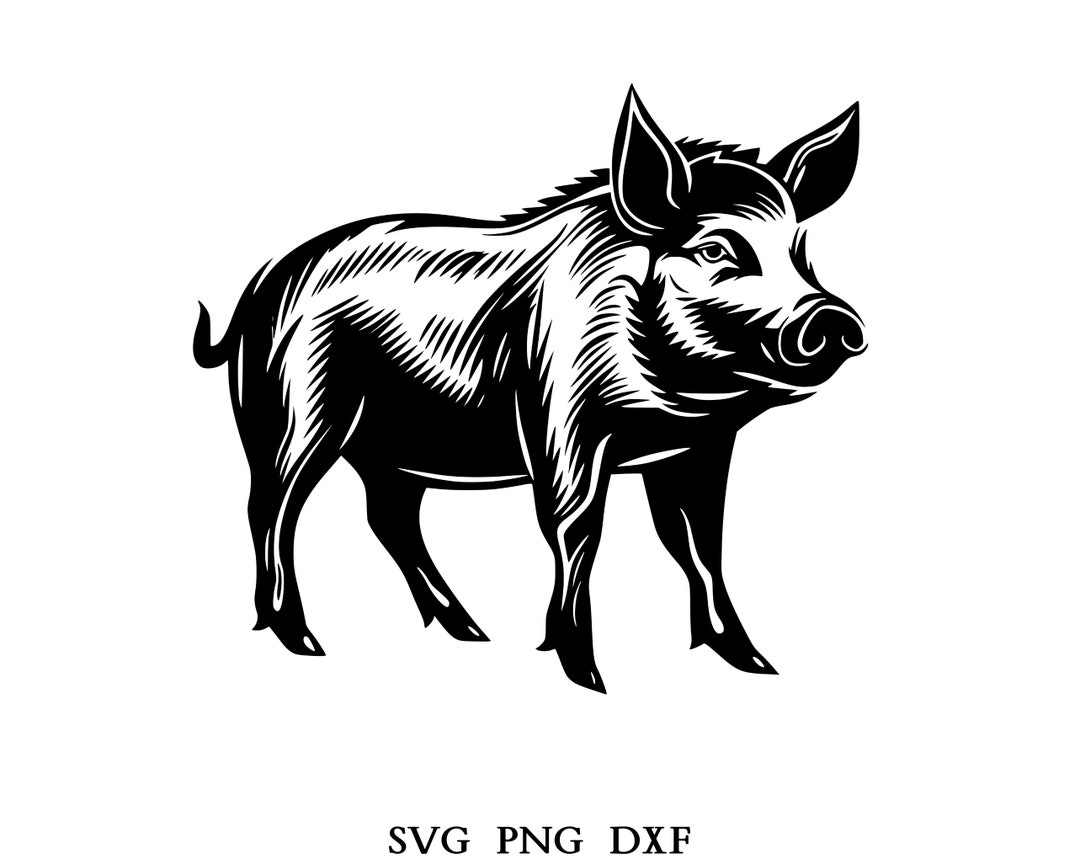 Wildschwein-Svg, Wildschwein-Svg, Zoo-Tiere Wildschwein PNG ...