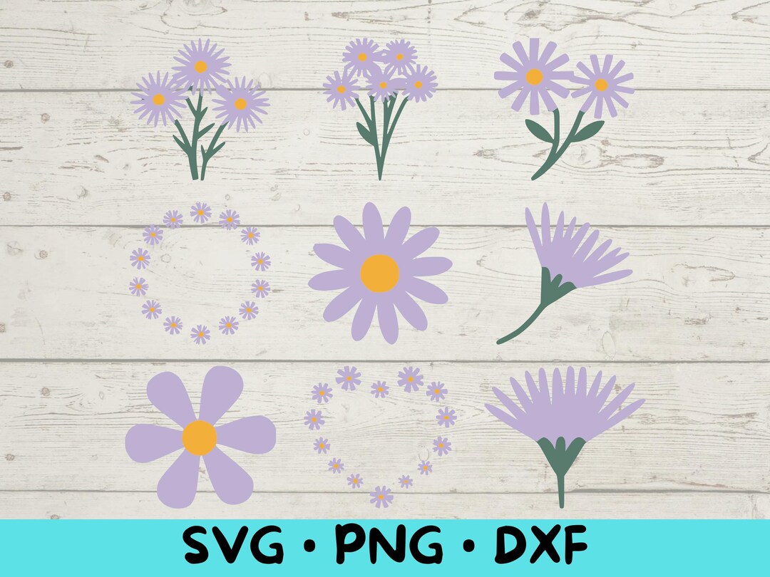 9 Aster SVG Cut Files Bundle, Floral Aster Clipart, Silhouette Flower ...