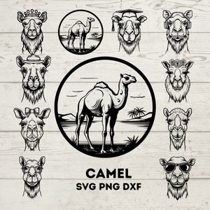 Camel Svg Bundle , Camel Svg , Camel Png, Camel Clipart, Camel Head ...