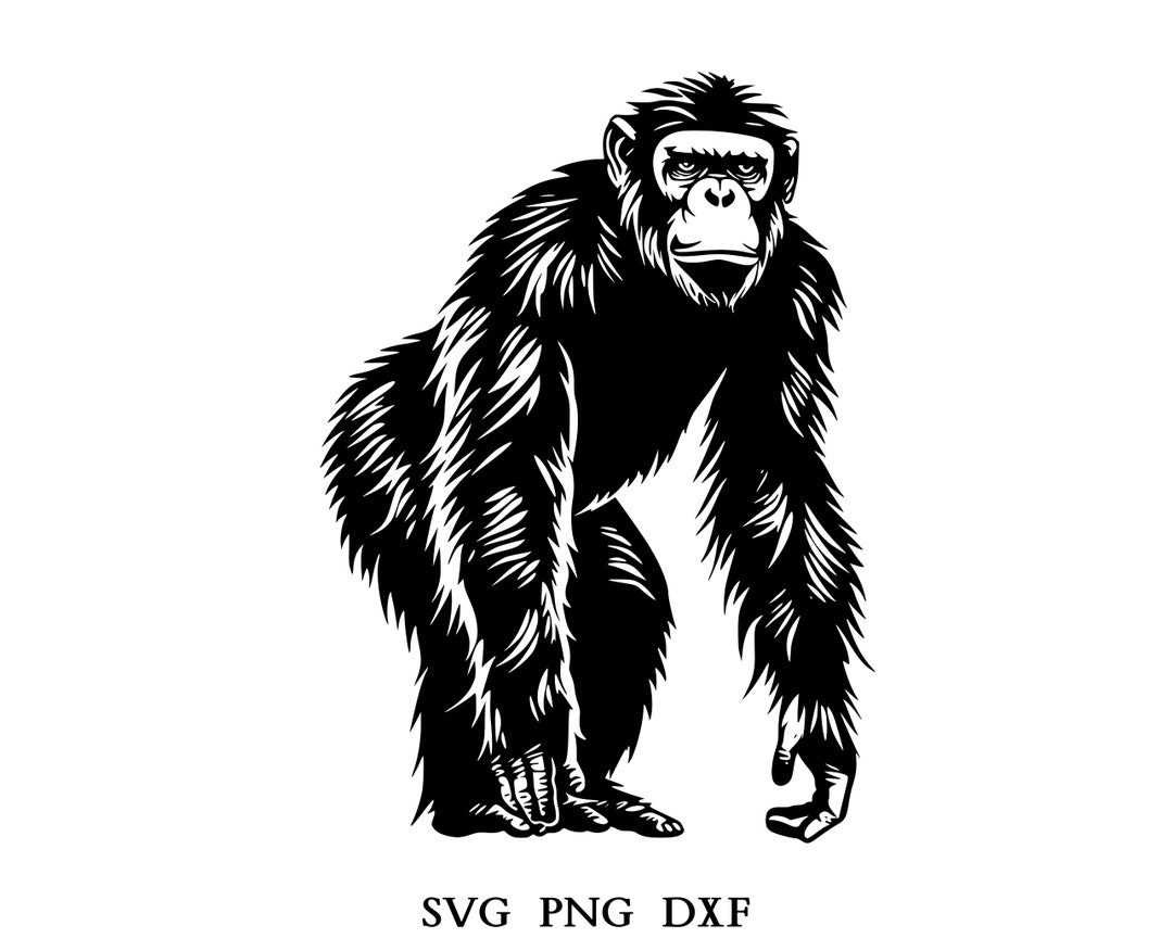 Ape Svg, Ape Clipart, Ape Png, Monkey Svg, Cut Files For Cricut, Animal ...