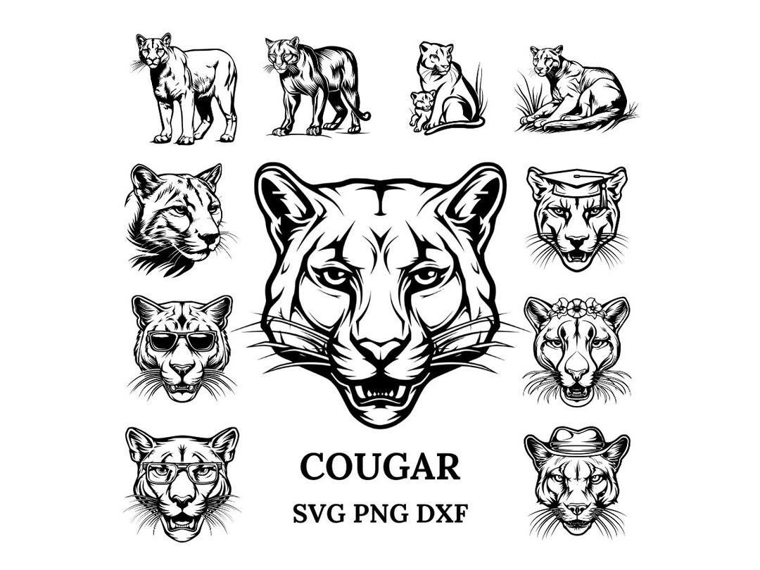 Cougar Svg Bundle , Cougar Svg , Cougar Png, Cougar Clipart, Cougar ...