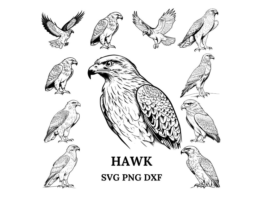Hawk Svg Bundle , Hawk Svg , Cut Files for Cricut and Laser Engraving ...