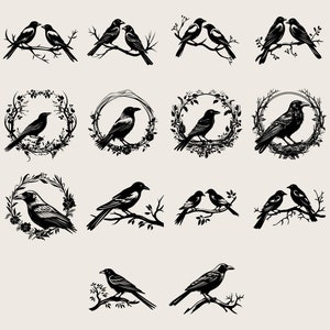 Crow Svg, Crow Bundle, Crow Clipart, Crow Png, Crow Cut Files for ...