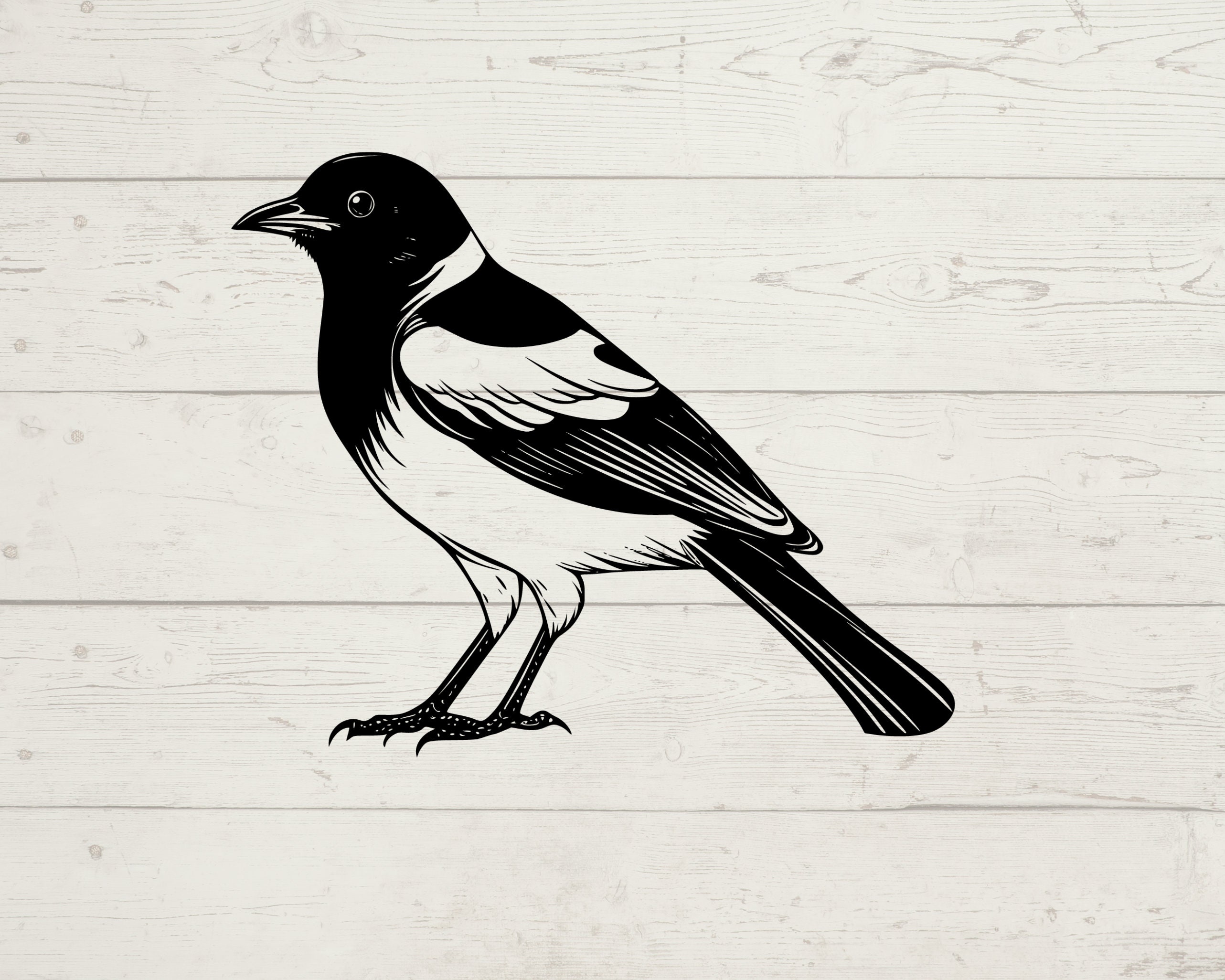 Magpie Svg Magpie Clipart Magpie Png Magpie Head Magpie - Etsy UK