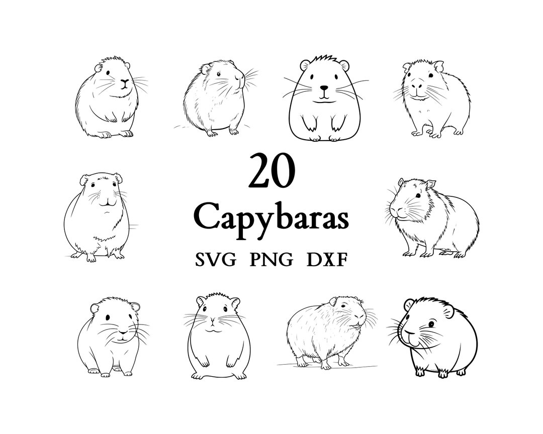 Capybara Svg Bundle , Capybara Svg , Cut Files for Cricut and Laser ...