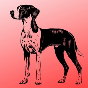 English Pointer Svg, English Pointer Clipart, English Pointer Png ...