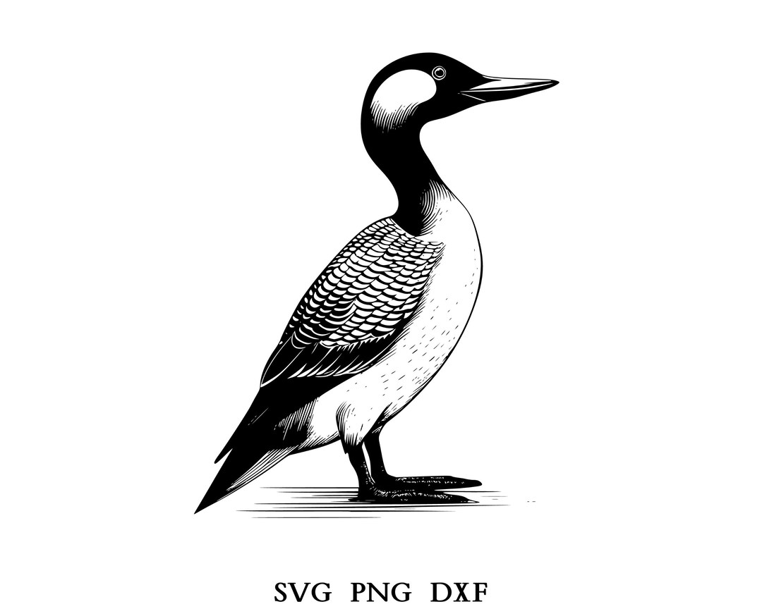 Loon Svg, Loon Clipart, Loon Png, Loon Head, Loon Cut Files for Cricut ...