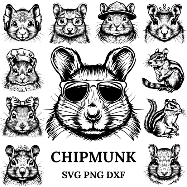 Chipmunk - Etsy