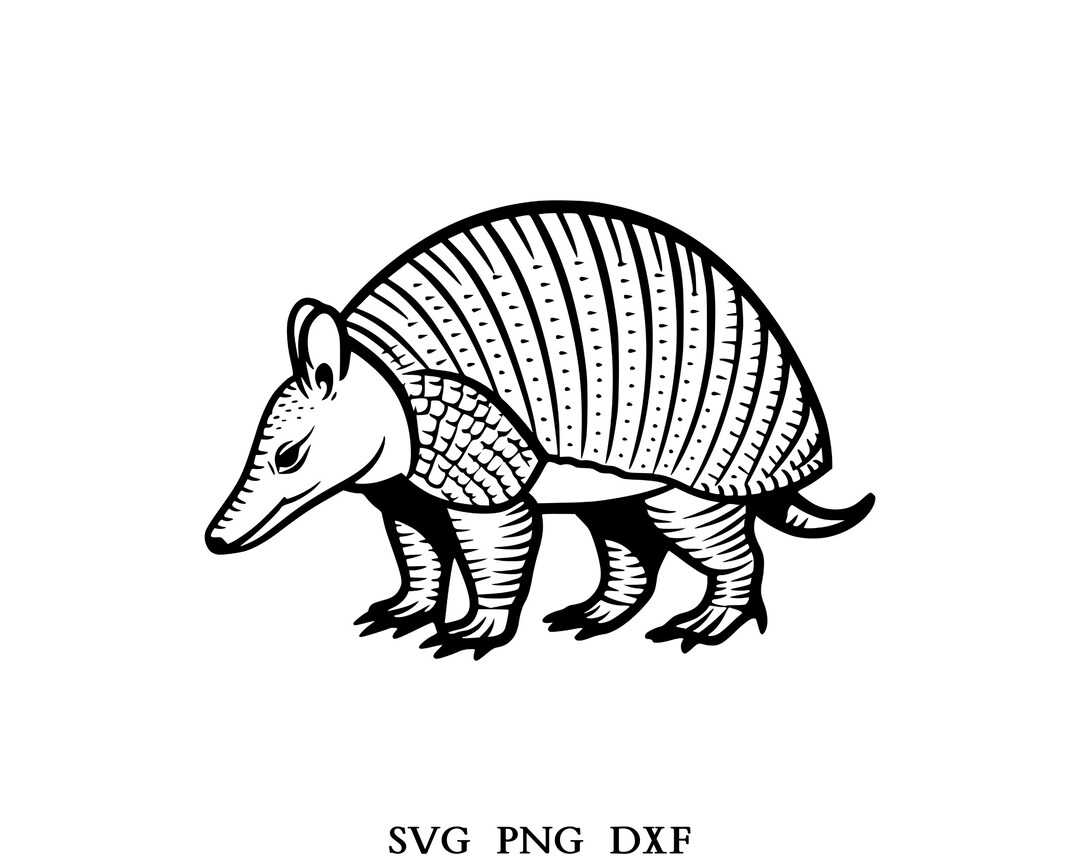 Armadillo Svg, Armadillo Clipart, Armadillo Png, Armadillo Head ...