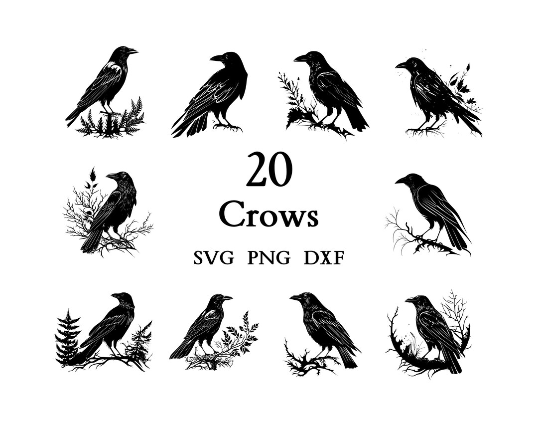 Crow Svg, Crow Bundle, Crow Clipart, Crow Png, Crow Cut Files for ...