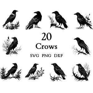 Crow Svg Crow Bundle Crow Clipart Crow Png Crow Cut Files - Etsy