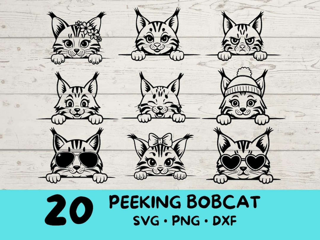 Bobcat Svg, Bobcat Svg Bundle, Bobcat Clipart, Bobcat Png, Bobcat Head ...