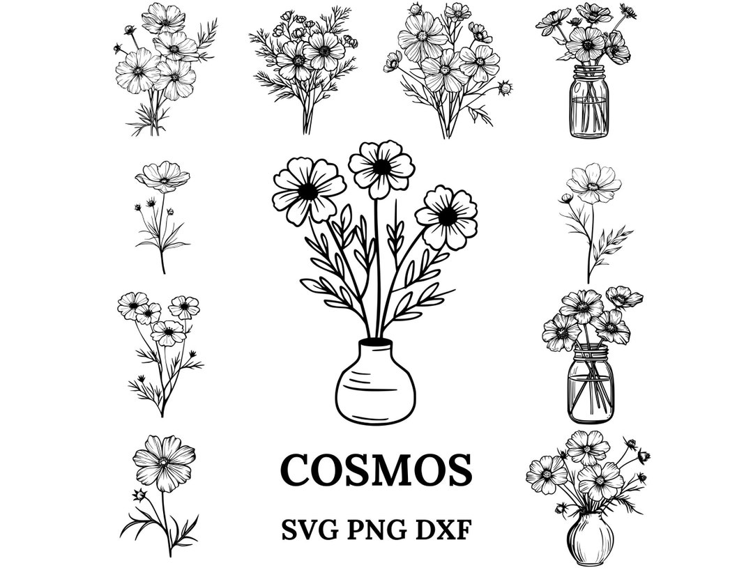 Cosmos Svg, Cosmos Png, Cosmos Clipart, Flower Svg, Flower Png - Etsy