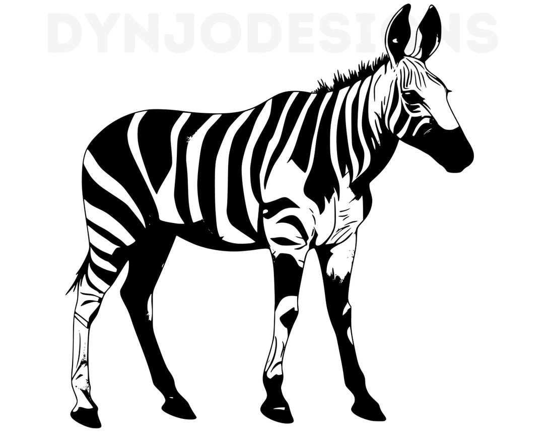 Okapi Svg Okapi Clipart Okapi Png Okapi Head Okapi Cut - Etsy