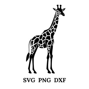 Giraffe Svg - Etsy