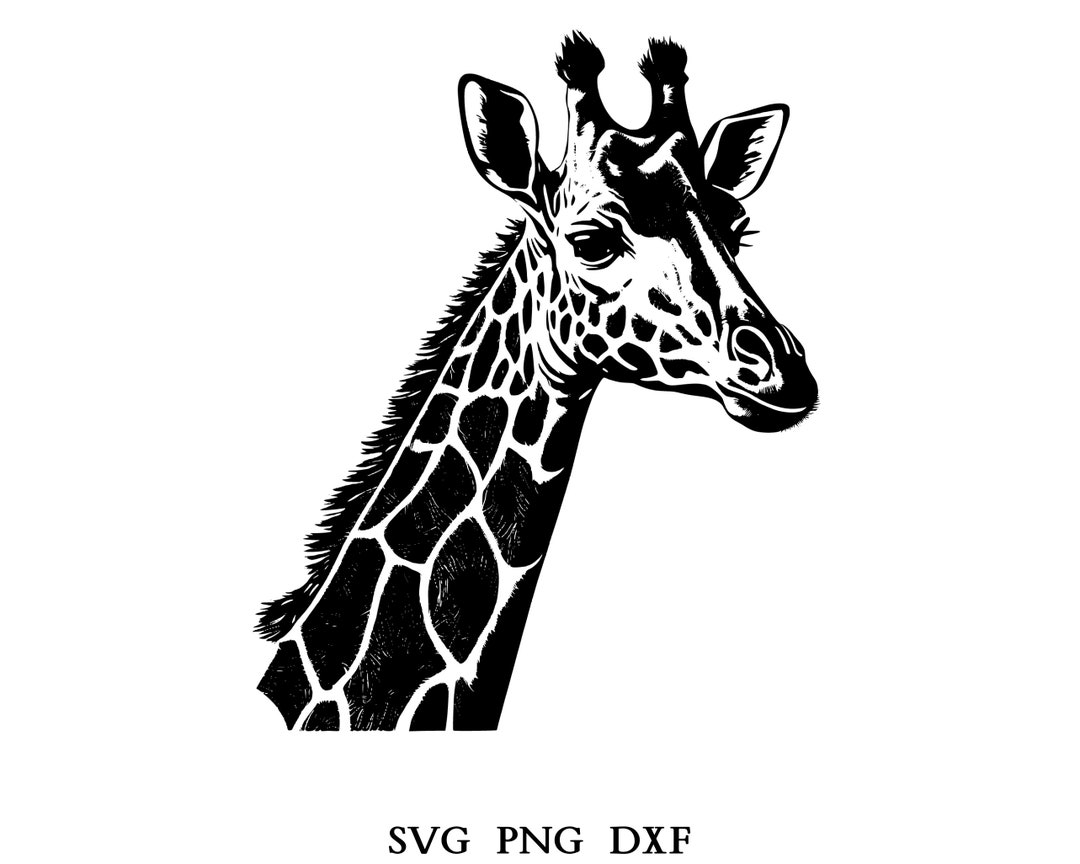 Giraffe Svg, Giraffe Clipart, Giraffe Png, Giraffe Head, Giraffe Cut ...