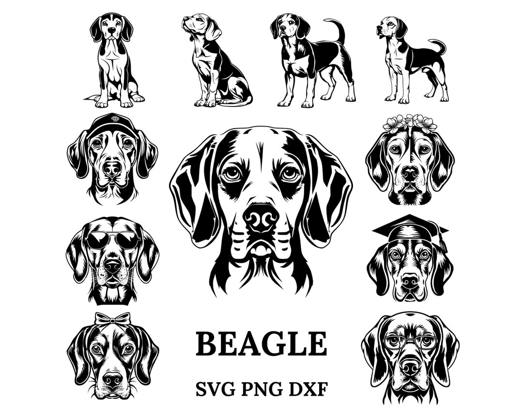 Beagle Svg, Beagle Clipart, Beagle Png, Beagle hoofd, Beagle gesneden ...